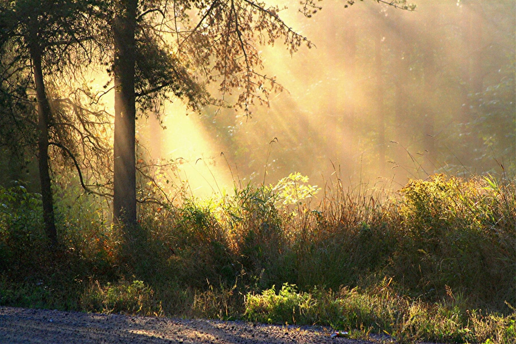 sacrificial-kingdom-supporters-update-27-anabaptist-perspectives